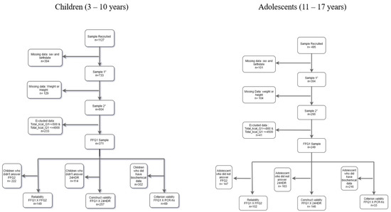 IJERPH | Free Full-Text | Reliability and Validity Estimate of the Pro ...