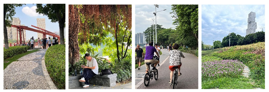 How Do Ecological and Recreational Features of Waterfront Space Affect ...