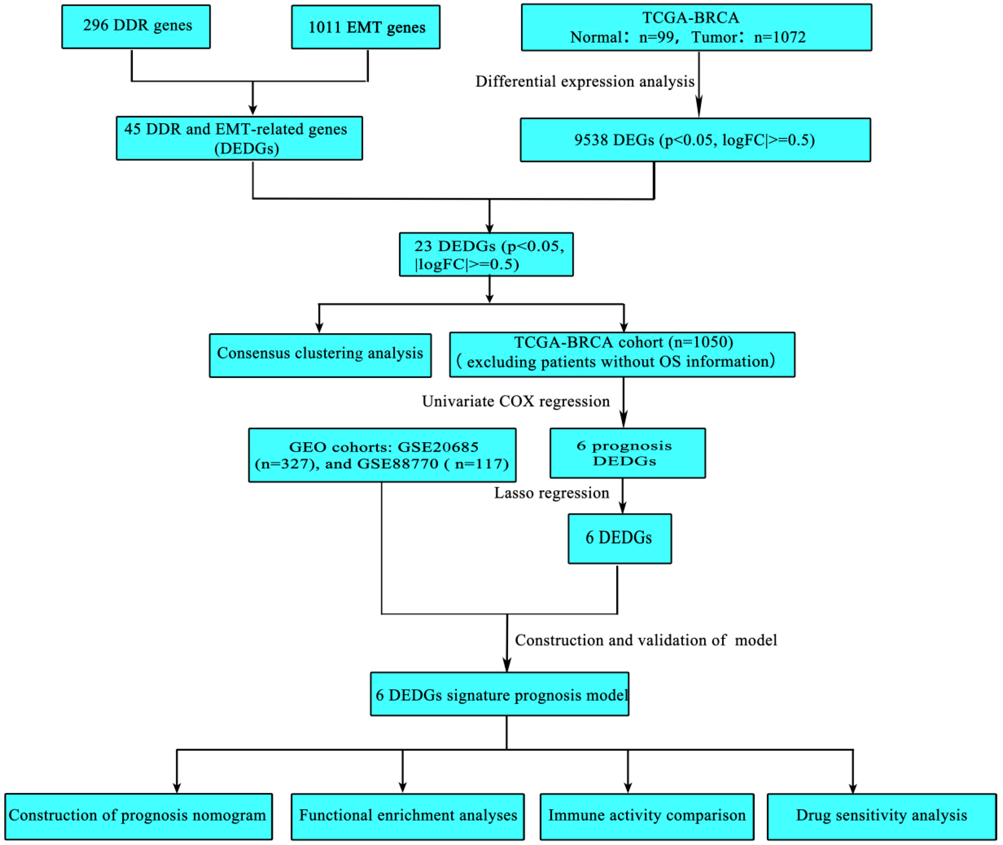 Identification of a Novel Gene Signature with DDR and EMT ...