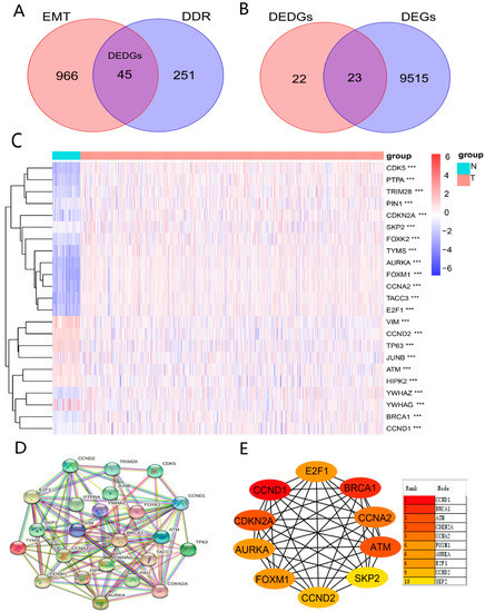 Identification of a Novel Gene Signature with DDR and EMT ...