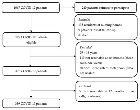Using Metaphors to Understand Suffering in COVID-19 Survivors: A Two Time-Point Observational ...