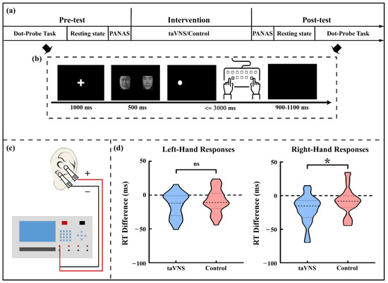 Transcutaneous Auricular Vagus Nerve Stimulation Facilitates Cortical ...