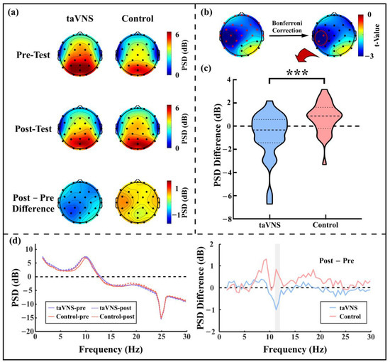Transcutaneous Auricular Vagus Nerve Stimulation Facilitates Cortical ...