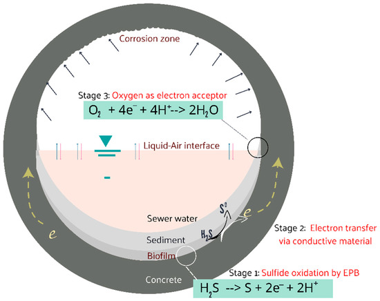 Enhancing the Biological Oxidation of H2S in a Sewer Pipe with Highly ...