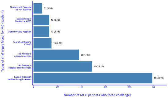 Challenges in Accessing and Delivering Maternal and Child Health ...