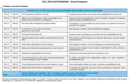 Cultural and Linguistic Adaptation of the Fall Risk Questionnaire ...