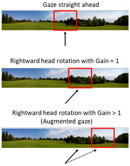 Enhancing Visual Exploration through Augmented Gaze: High Acceptance of ...