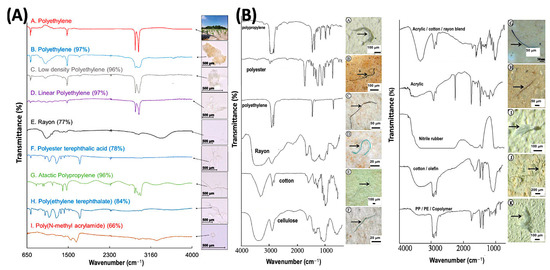 Microplastic Pollution: Chemical Characterization and Impact on Wildlife