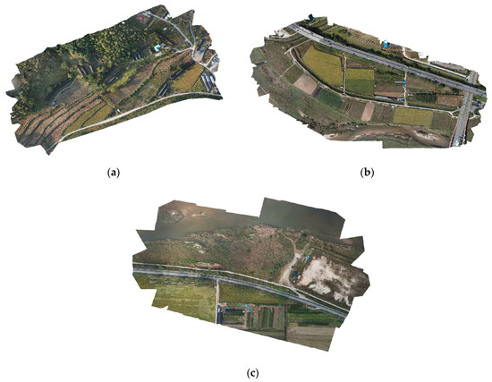 Analysis of YOLOv5 and DeepLabv3+ Algorithms for Detecting Illegal Cultivation on Public Land: A ...