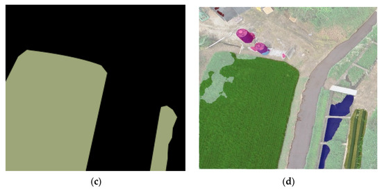 Analysis of YOLOv5 and DeepLabv3+ Algorithms for Detecting Illegal Cultivation on Public Land: A ...