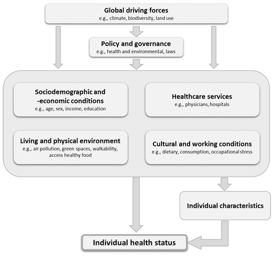 Spatial Aspects of Health—Developing a Conceptual Framework