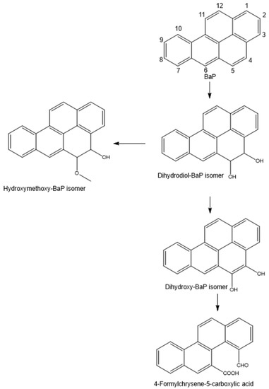 Benzo[A]Pyrene Biodegradation by Multiple and Individual Mesophilic ...