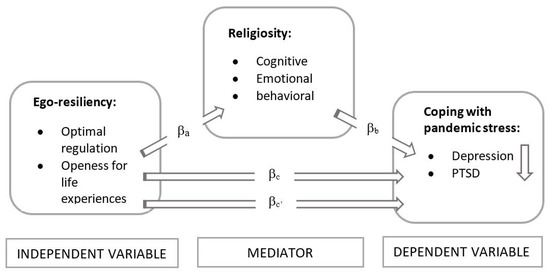 “Faith Is Not Enough?” Ego-Resiliency and Religiosity as Coping ...