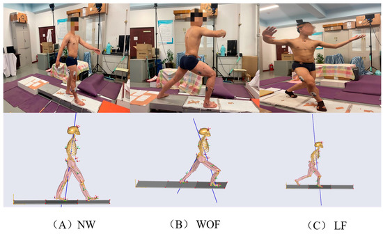 Study on Two Typical Progressive Motions in Tai Chi (Bafa Wubu ...