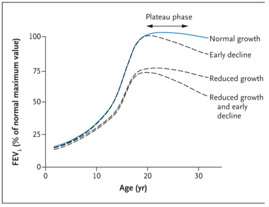 Early Origins of Chronic Obstructive Pulmonary Disease: Prenatal and ...