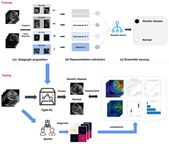 IJERPH | Free Full-Text | The Two-Stage Ensemble Learning Model Based on Aggregated Facial ...