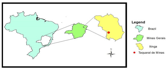 IJERPH | Free Full-Text | Artisanal Gem Mining in Brazil: A Source of ...