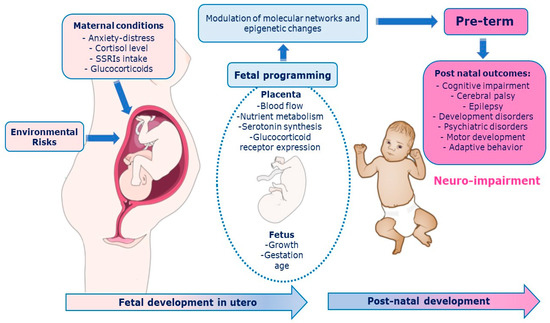 Effect of Musical Stimulation on Placental Programming and Neurodevelopment Outcome of Preterm ...