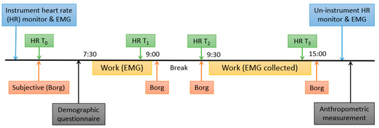 Commonly Used Subjective Effort Scales May Not Predict Directly ...