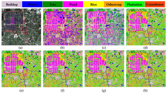 HyFormer: Hybrid Transformer and CNN for Pixel-Level Multispectral Image Land Cover Classification