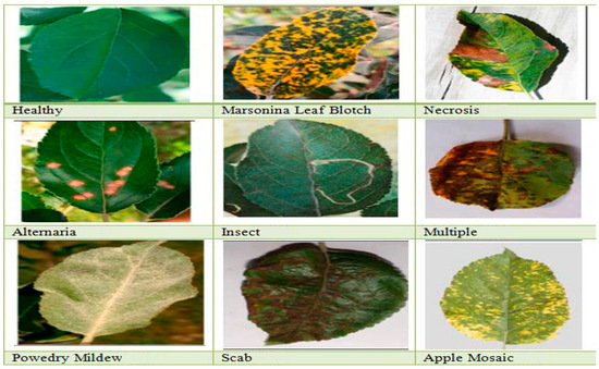 Apple Leave Disease Detection Using Collaborative ML/DL and Artificial Intelligence Methods ...