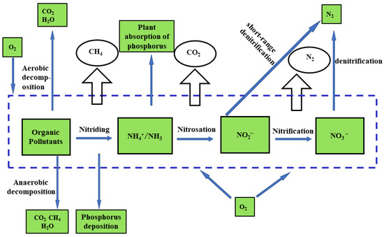 A Comprehensive Review on Wastewater Nitrogen Removal and Its Recovery ...