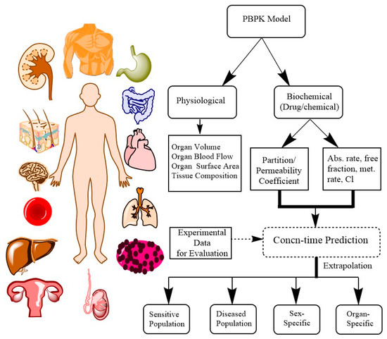 The Role of “Physiologically Based Pharmacokinetic Model (PBPK)” New ...