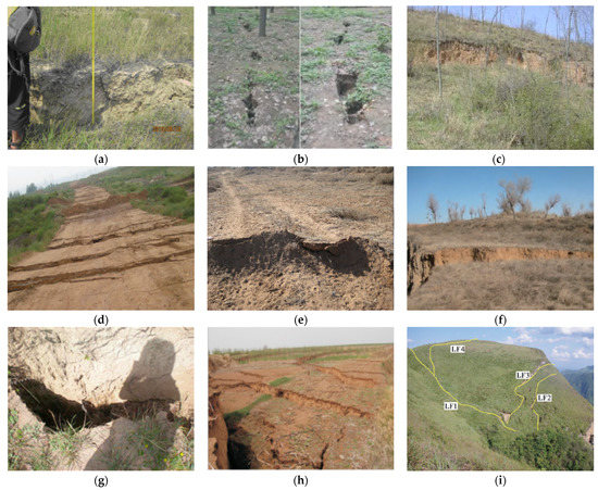 Developmental Features, Influencing Factors, and Formation Mechanism of ...