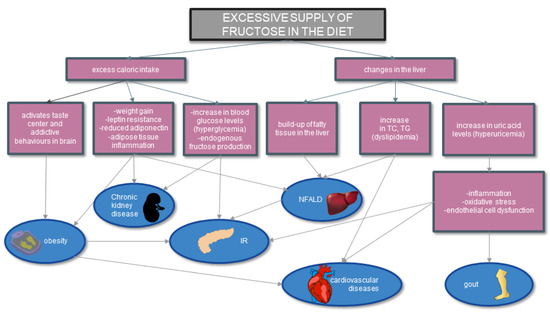 High-Fructose Diet–Induced Hyperuricemia Accompanying Metabolic ...