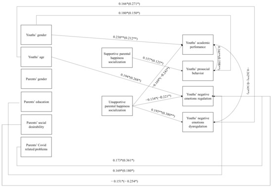 IJERPH | Free Full-Text | Parental Happiness Socialization and Youth ...