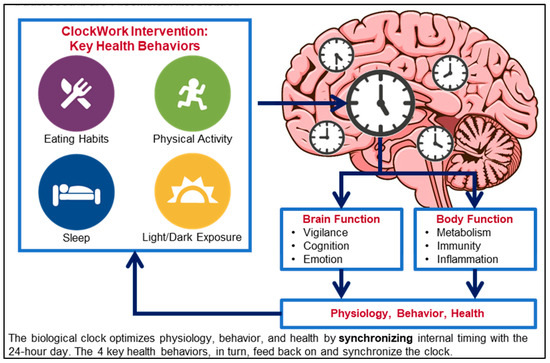 Formative Development of ClockWork for the Postpartum Period: A Theory ...