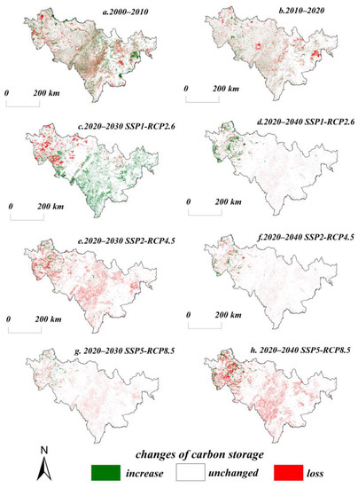 Assessment of Carbon Storage under Different SSP-RCP Scenarios in ...