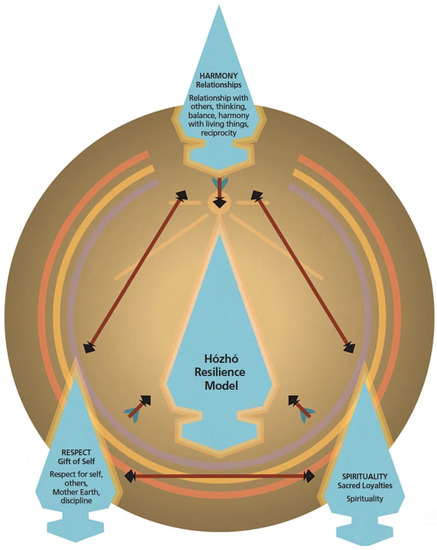 IJERPH | Free Full-Text | Diné (Navajo) Traditional Knowledge Holders ...