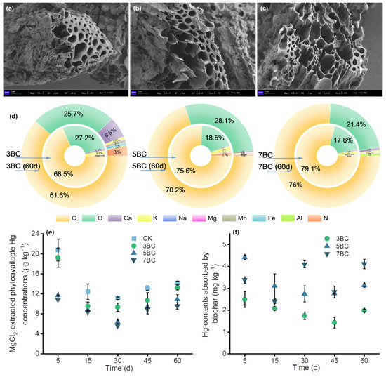 IJERPH | Free Full-Text | Unveiling the Role of Dissolved Organic Matter on the Hg ...