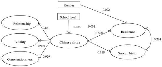 Chinese Virtues and Resilience among Students in Hong Kong