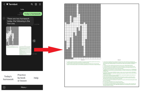 Termbot: A Chatbot-Based Crossword Game for Gamified Medical Terminology Learning