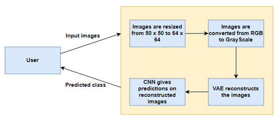 Enhancing the Breast Histopathology Image Analysis for Cancer Detection ...