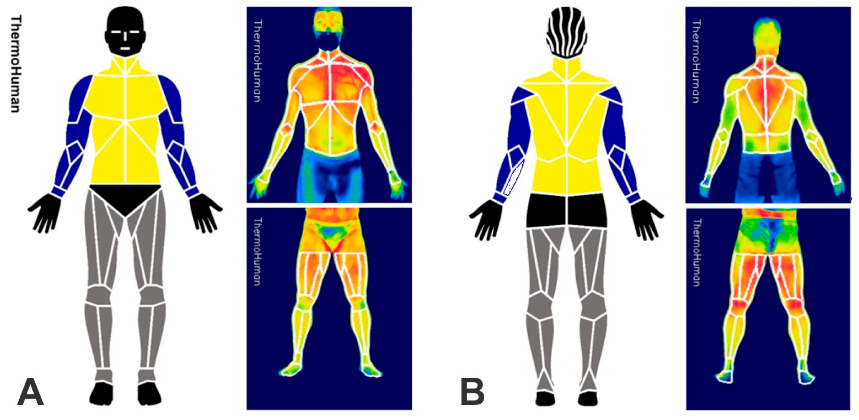 IJERPH | Free Full-Text | Can Adipose Tissue Influence the Evaluation ...