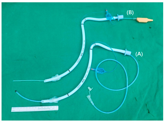 Comparison of the Nasal Cavity Guidance Methods’ Effects during ...
