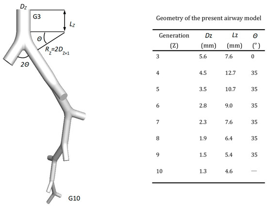 Particle Deposition in Large-Scale Human Tracheobronchial Airways ...