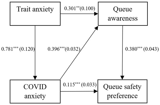 Social Distancing and Shopping Behaviour: The Role of Anxiety ...