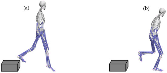 The Effect of a Knee Brace on Muscle Forces during Single-Leg Landings ...