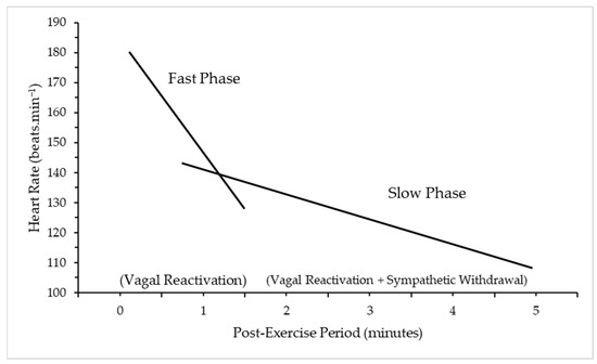 Heart Rate Recovery Assessed by Cardiopulmonary Exercise Testing in ...