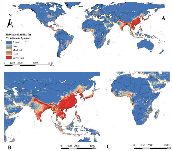 Global Distribution of Culex tritaeniorhynchus and Impact Factors
