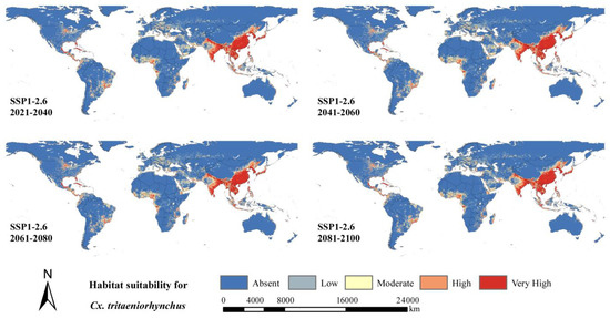 Global Distribution of Culex tritaeniorhynchus and Impact Factors