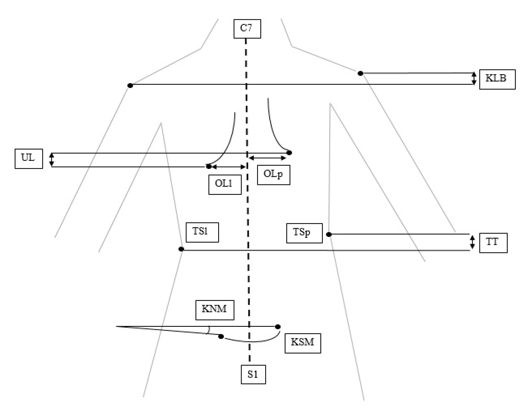 Evaluation of Size of Trunk Asymmetry in Children Practicing Selected ...
