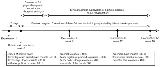 Botulinum Toxin and Dynamic Splint Restore Grasping Function after ...