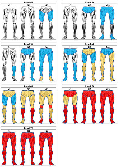 Construction of a Musculoskeletal Discomfort Scale for the Lower Limbs ...