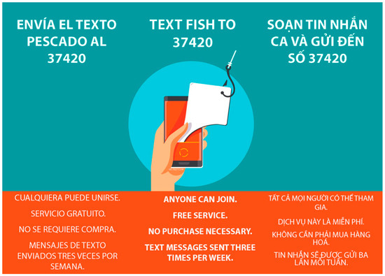 Dissemination and Implementation of a Text Messaging Campaign to ...