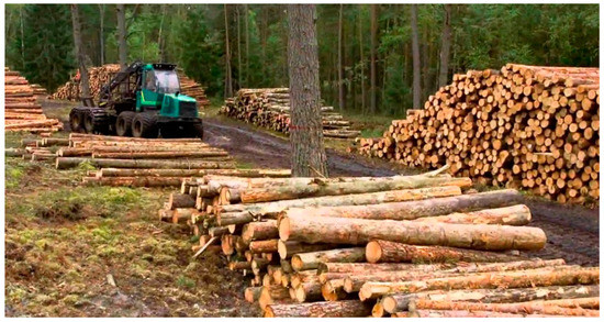 Implications of Extractivism and Environmental Pollution in Mapuche ...